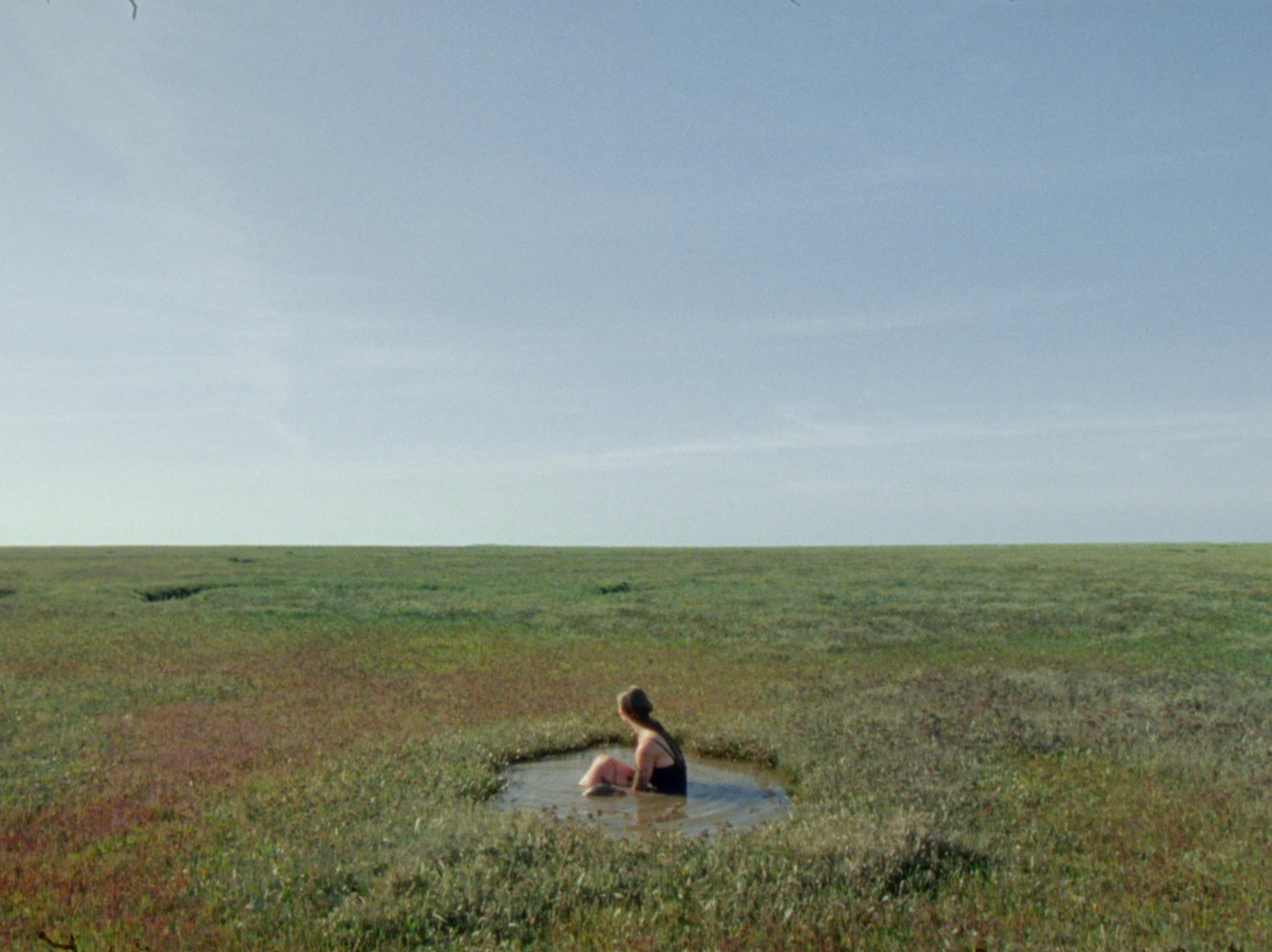 Going Out Is Going In (Frames) — DIRECTORS' LIBRARY