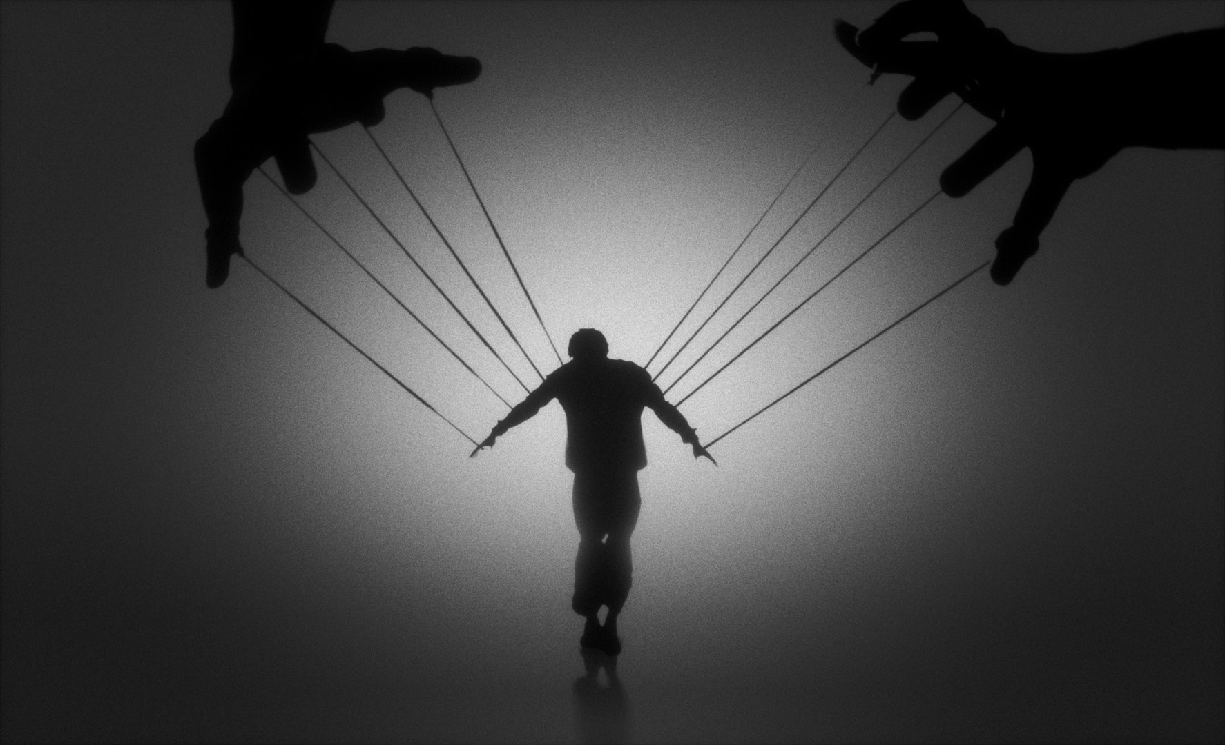 Inside The Blind Iris (Frames) — DIRECTORS' LIBRARY