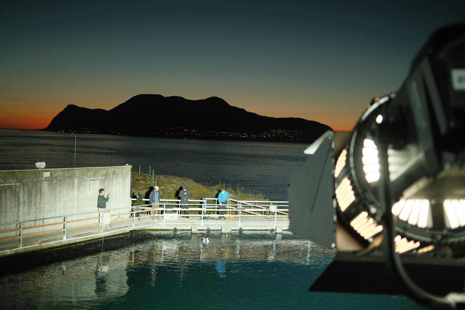 ‘Unleash The Magic of Halibut’ Sterling White Halibut (BTS) — Directors ...