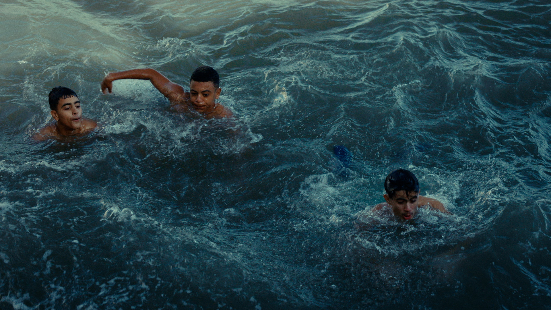 'Asli Ana' Zeyne (Frames) — DIRECTORS' LIBRARY