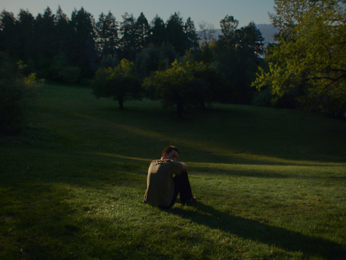 Light (Frames) — DIRECTORS' LIBRARY