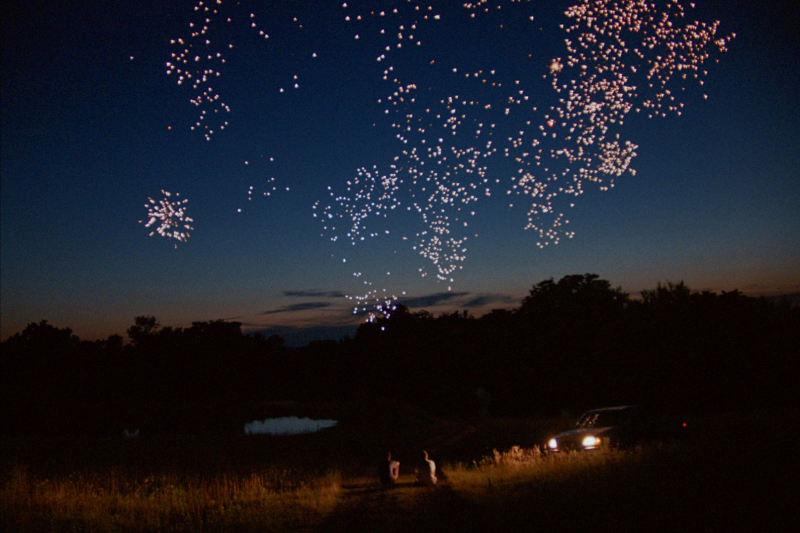 Mudpuppy (Frames) — DIRECTORS' LIBRARY